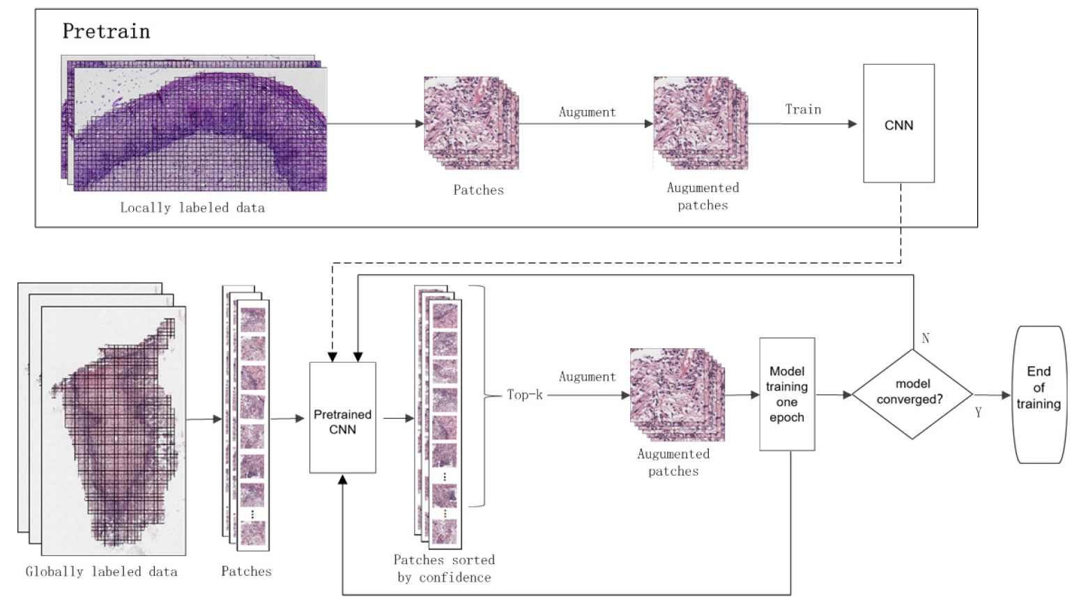 Peng Jiang's Homepage