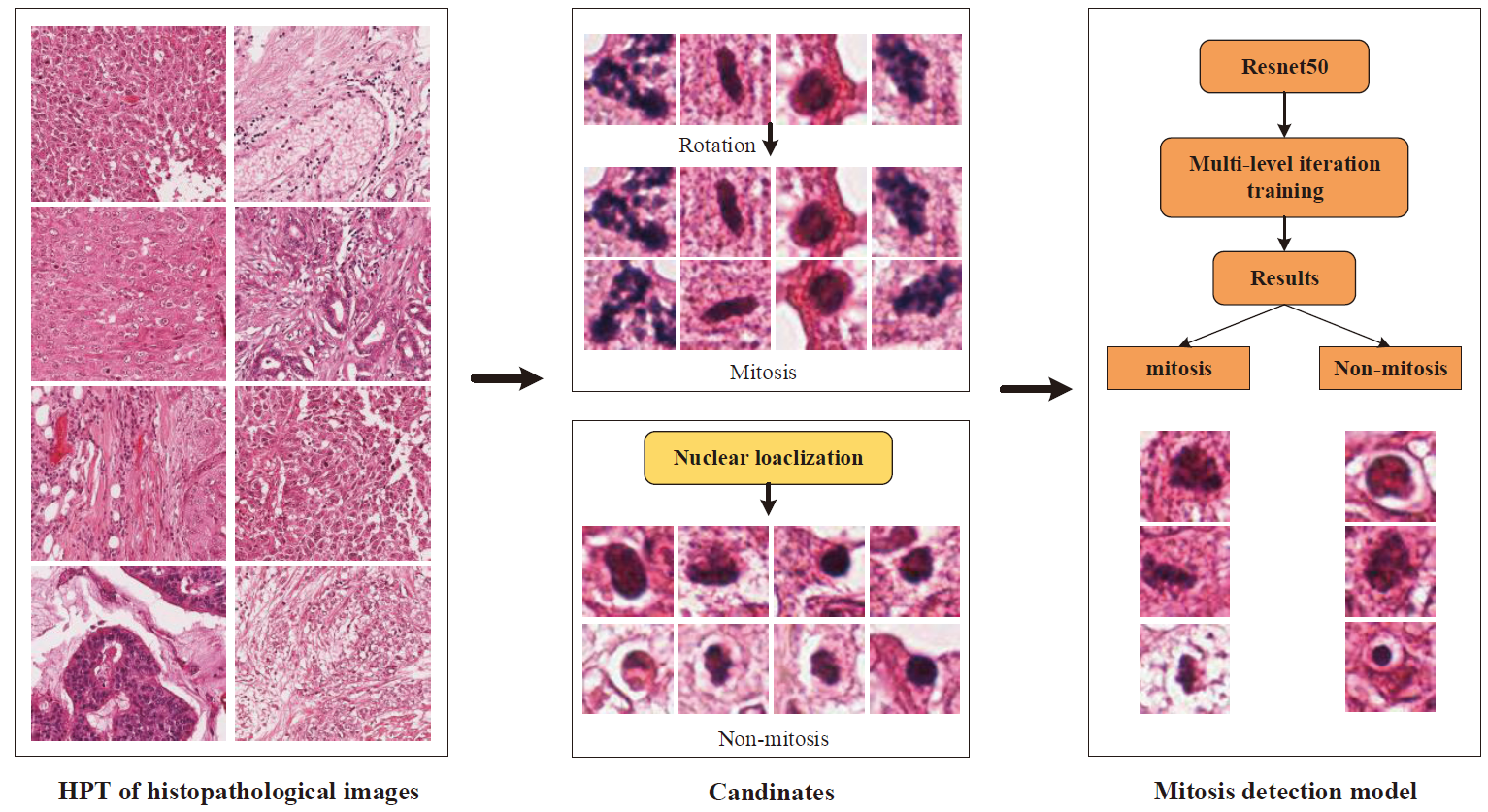 Peng Jiang's Homepage