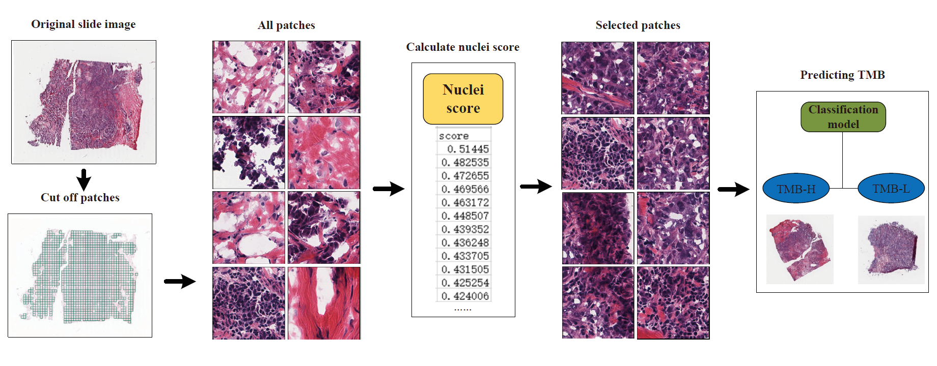 Peng Jiang's Homepage